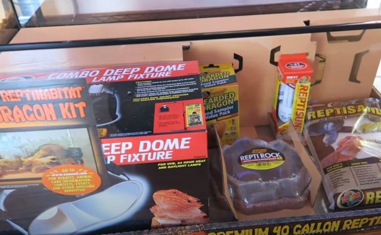 Best Bearded Dragon Starter Kit in 2023: For Easy Setting up (TOP 7)