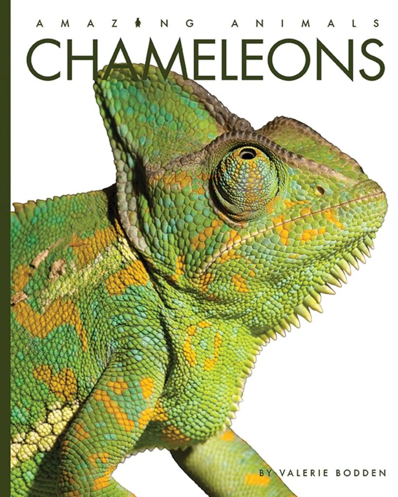 How Do Chameleons Change Color
